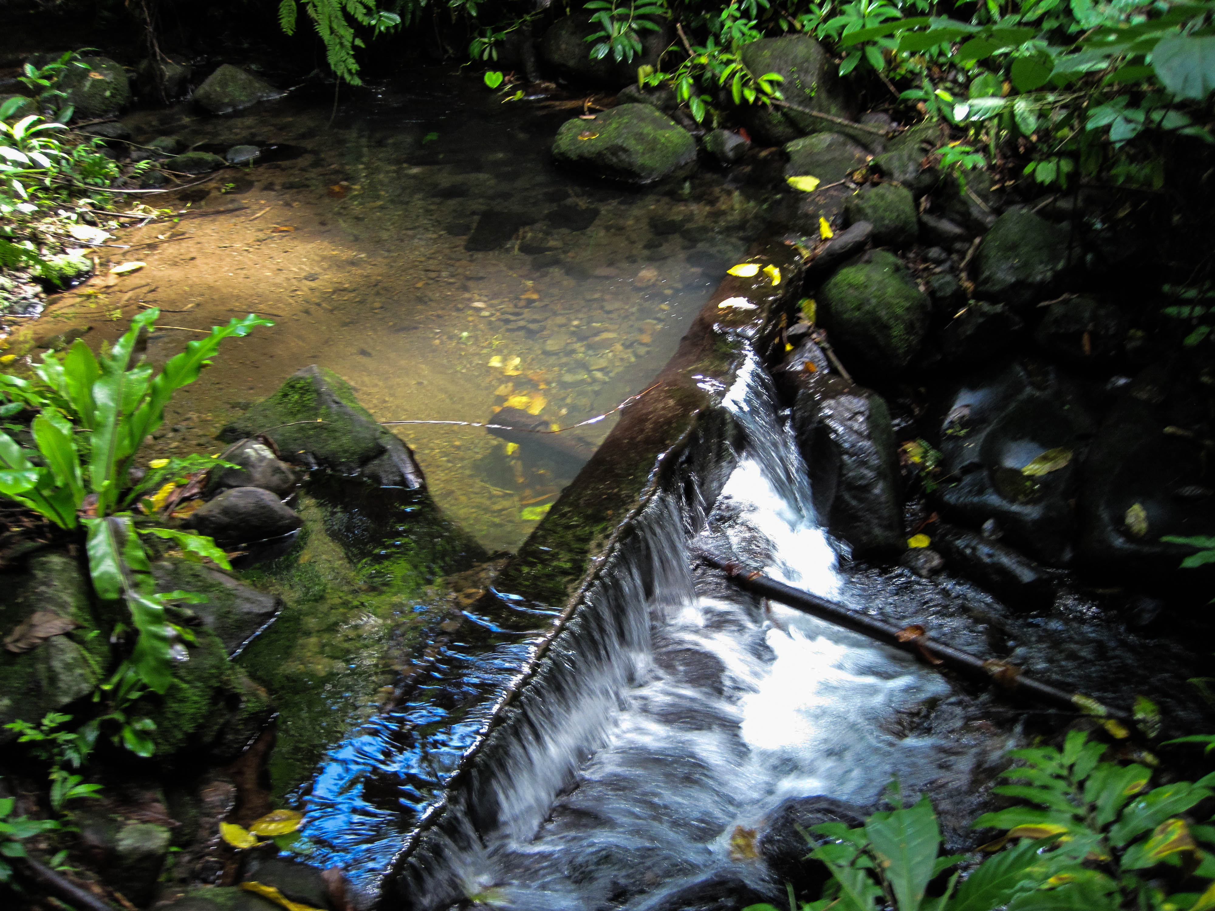 Hiking and eating in the Amaluia valley | (mis)adventures