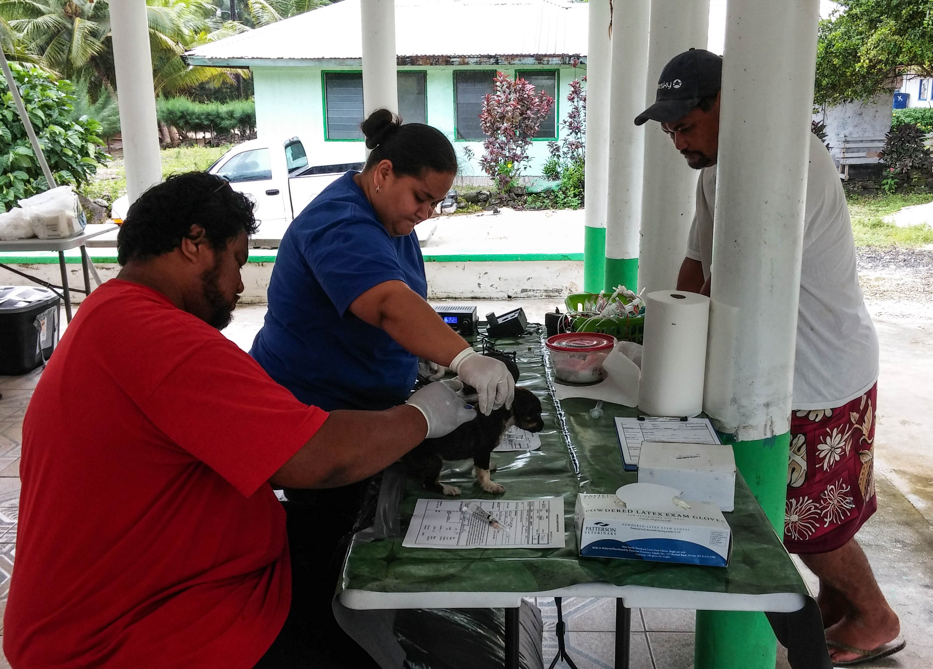 Veterinary Clinics on Manu’a ~ American Samoa ~ Faleasao Village | (mis ...