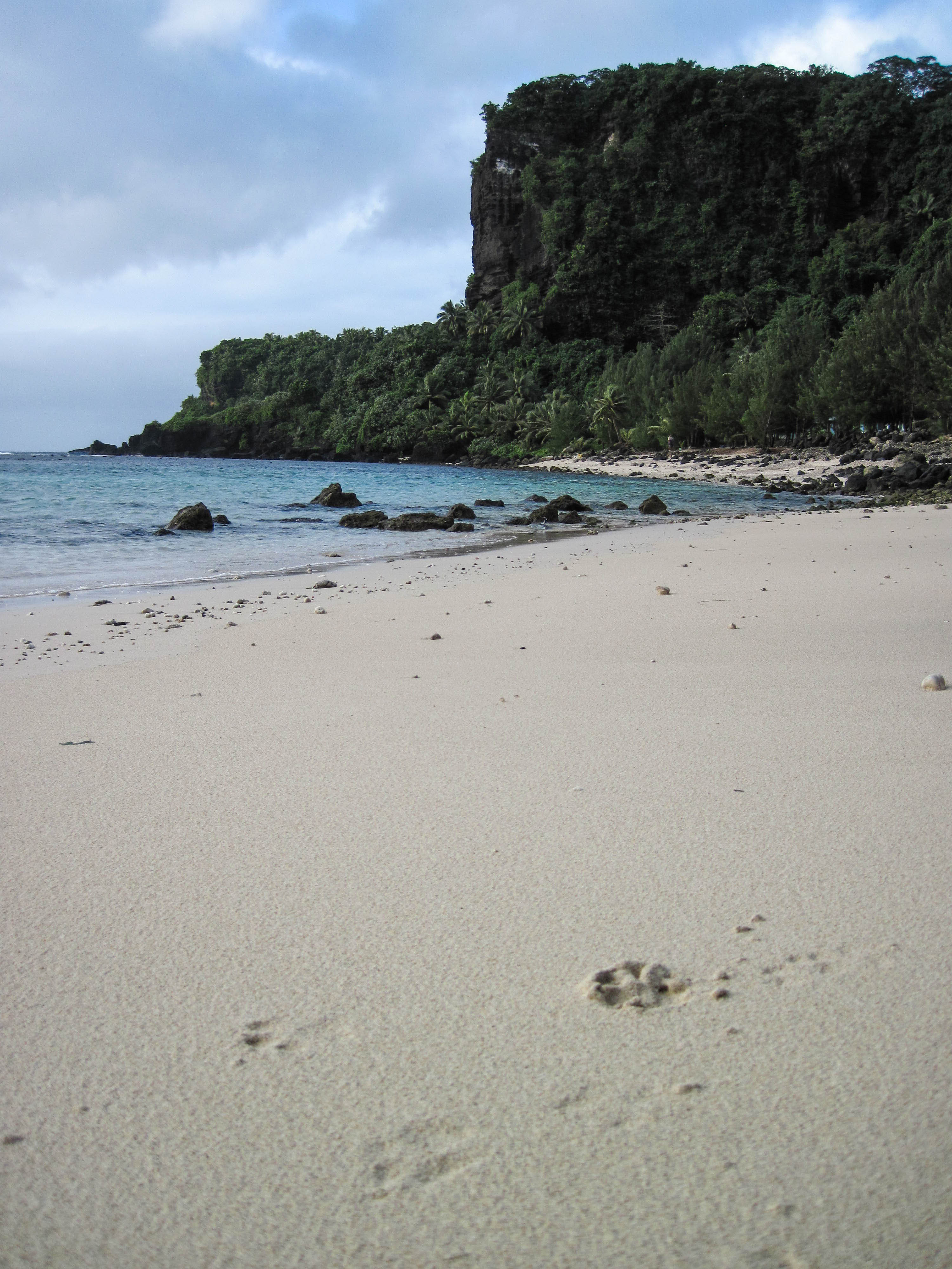 Veterinary Clinics on Manu’a ~ American Samoa ~ Faleasao Village | (mis ...