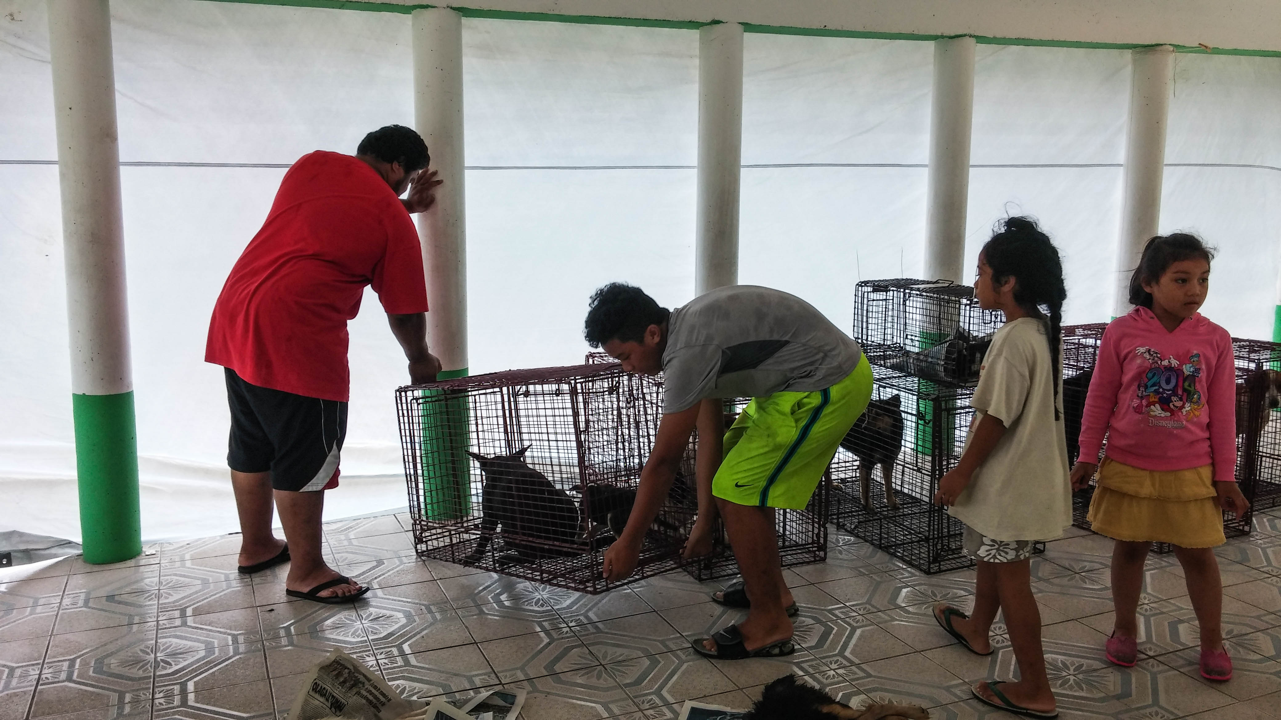 Veterinary Clinics on Manu’a ~ American Samoa ~ Faleasao Village | (mis ...