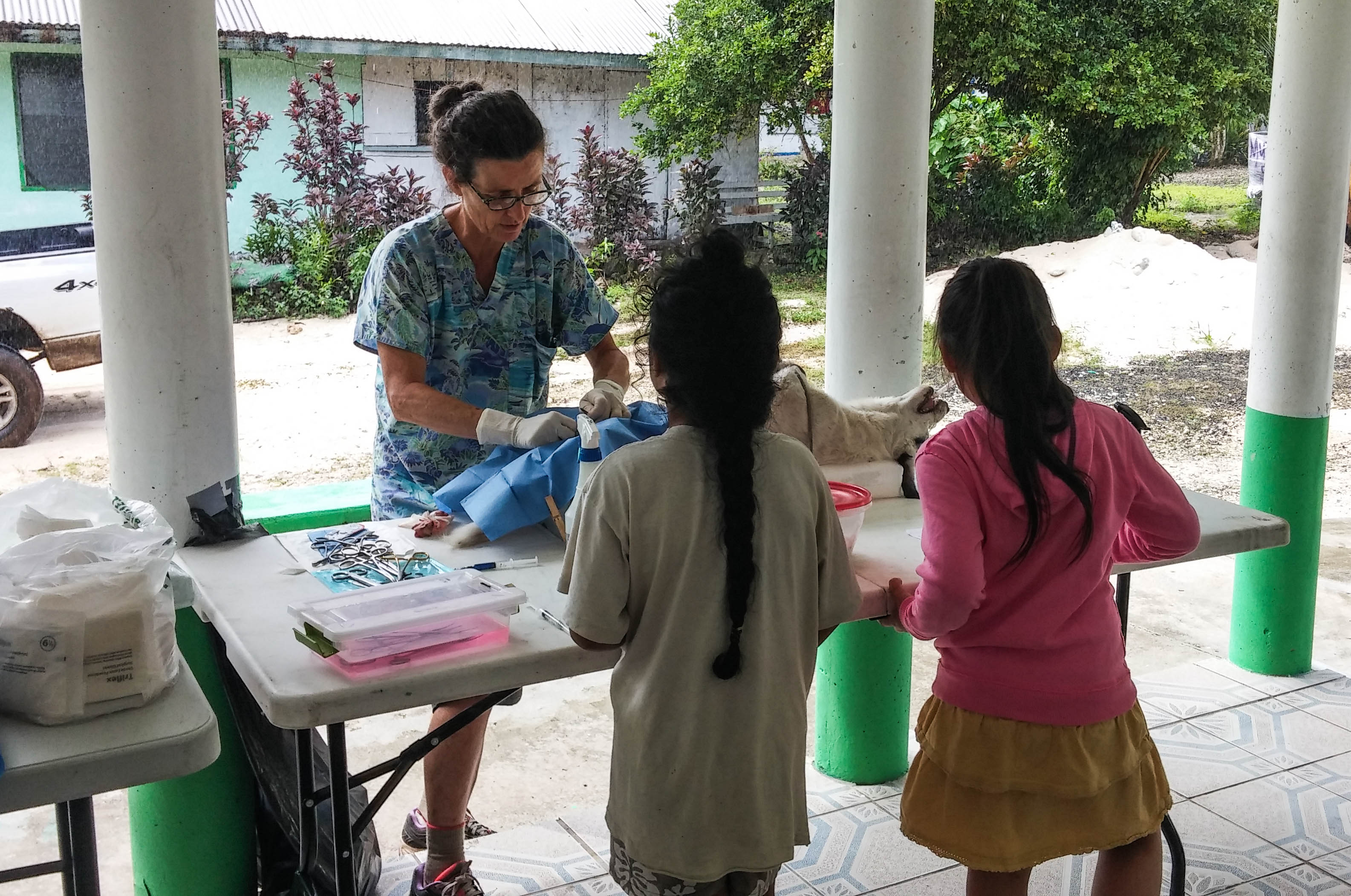 Veterinary Clinics on Manu’a ~ American Samoa ~ Faleasao Village | (mis ...