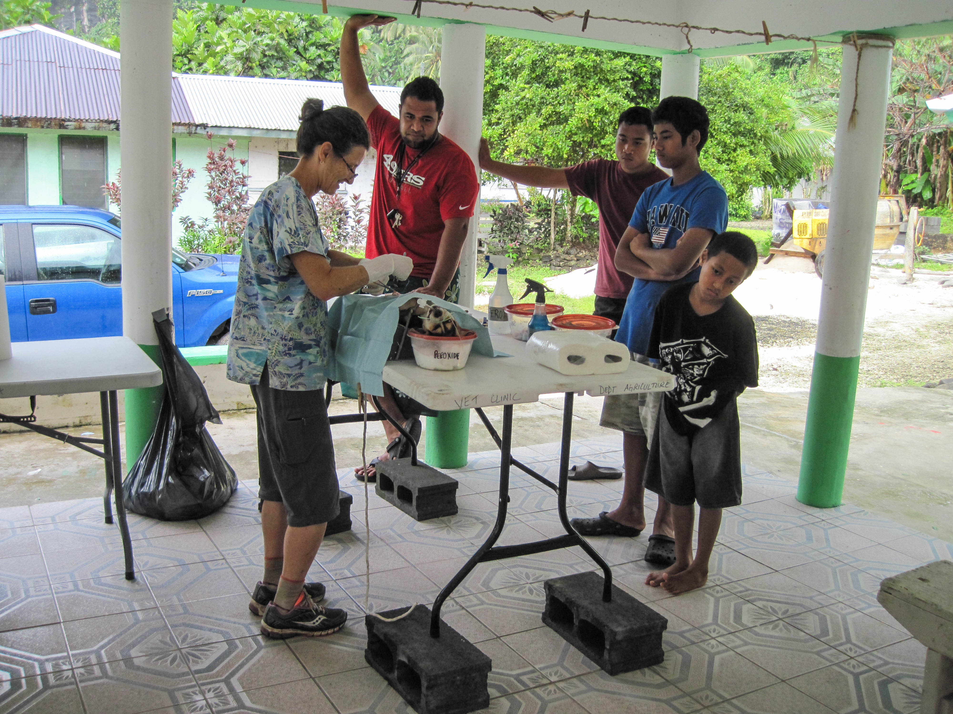 Veterinary Clinics on Manu’a ~ American Samoa ~ Faleasao Village | (mis ...